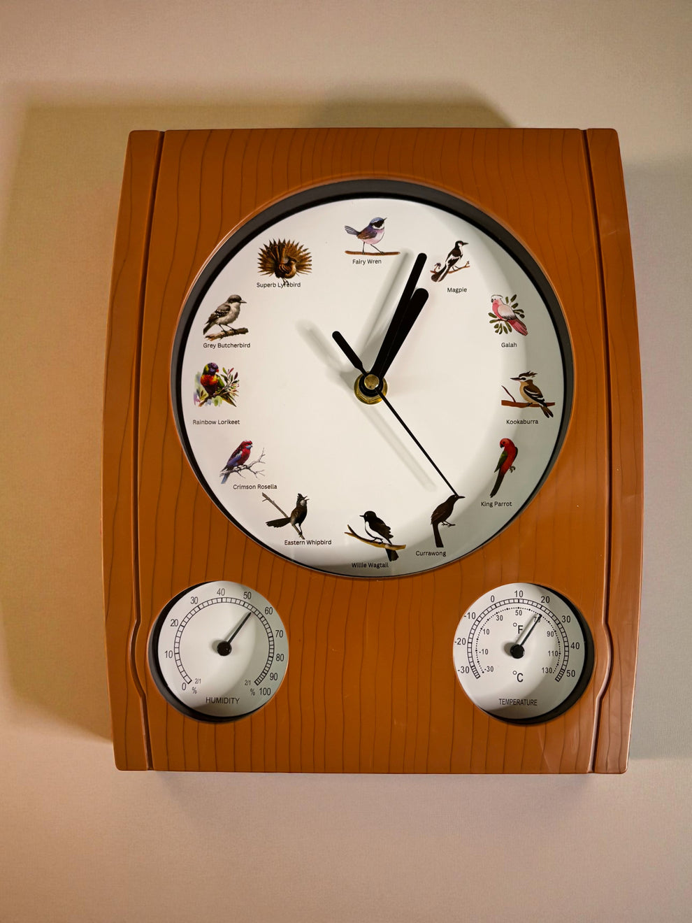 Australian Bird Song 20cm Clock – 12 Hourly Calls Humidity & Temperatu ...